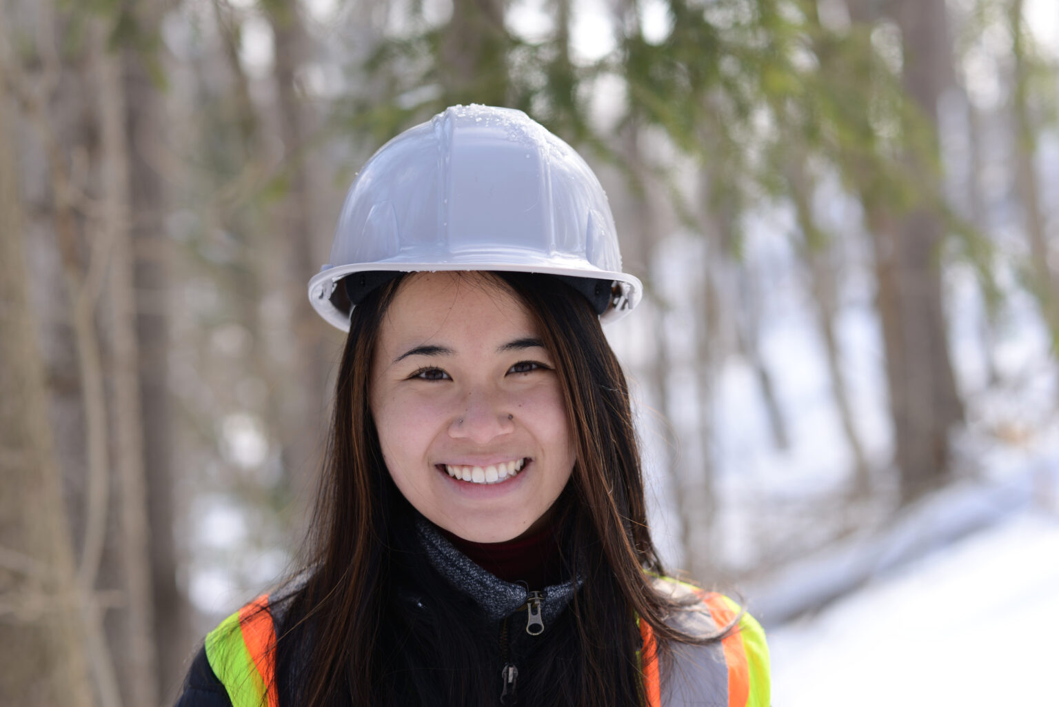 Applications and Admissions | Forestry